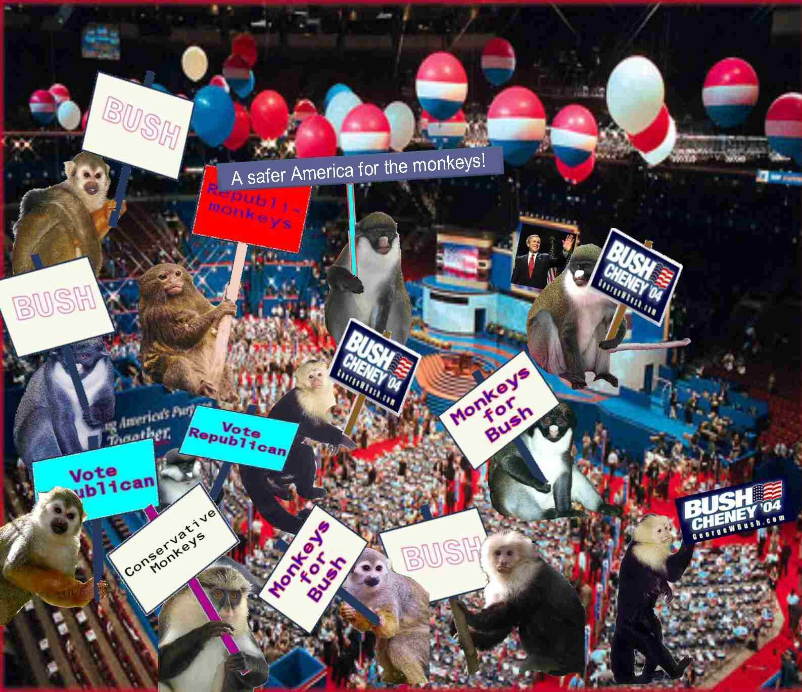 International Primate Association·-·´¯`·.¸¸.·´¯`·.¸¸.·´¯`Monkey Ma